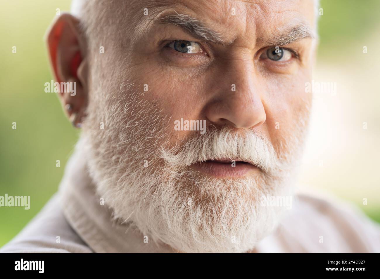 Middle-aged senior grandfather close up portrait. Grey hair white beard ...