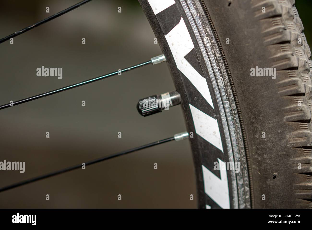 A valve with a cap on a bicycle wheel, close-up Stock Photo - Alamy