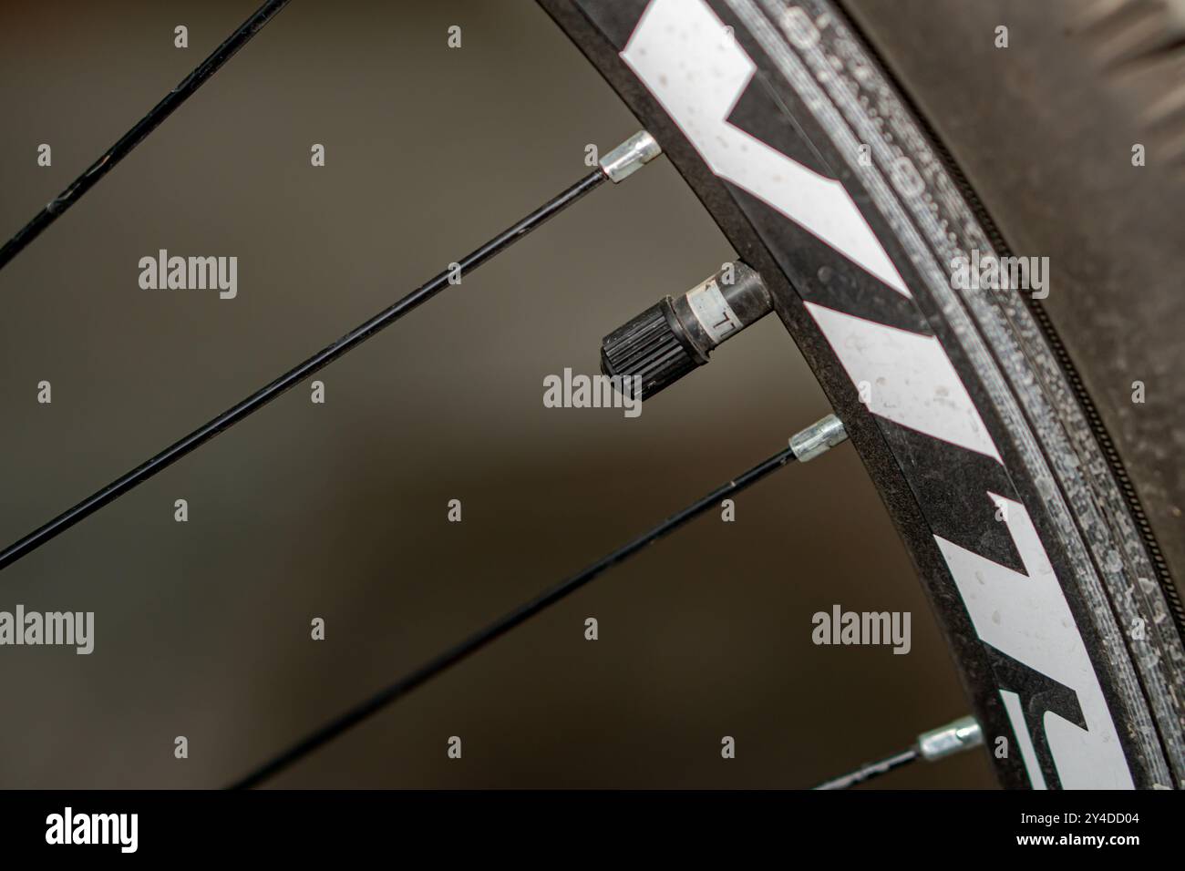 A valve with a cap on a bicycle wheel, close-up Stock Photo - Alamy