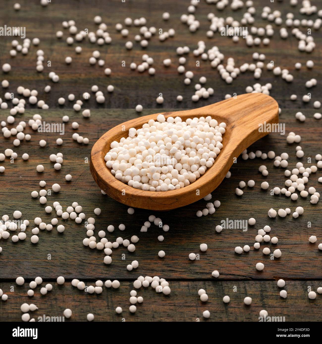 Tapioca pearls from cassava root - White sagu balls on the spoon ...