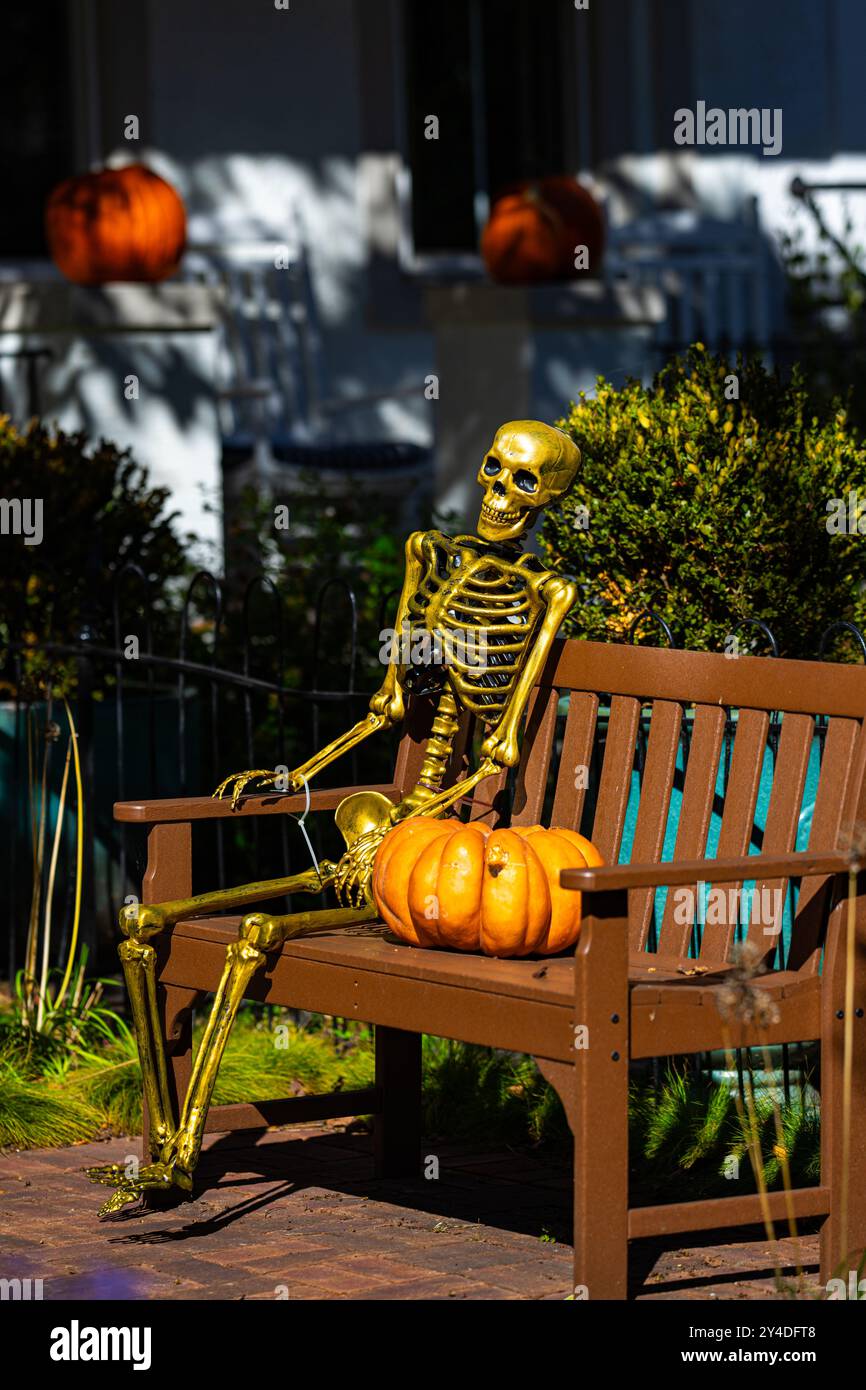 Halloween skeleton decorations. Halloween skeleton for decorated house ...