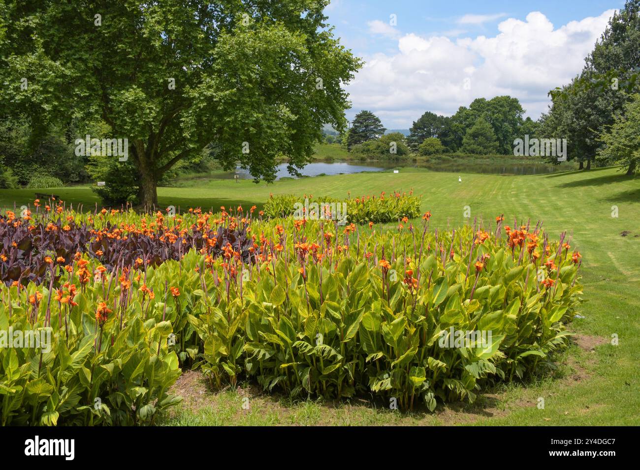 Midlands meander landscape in Kwazulu natal kzn south africa Stock ...