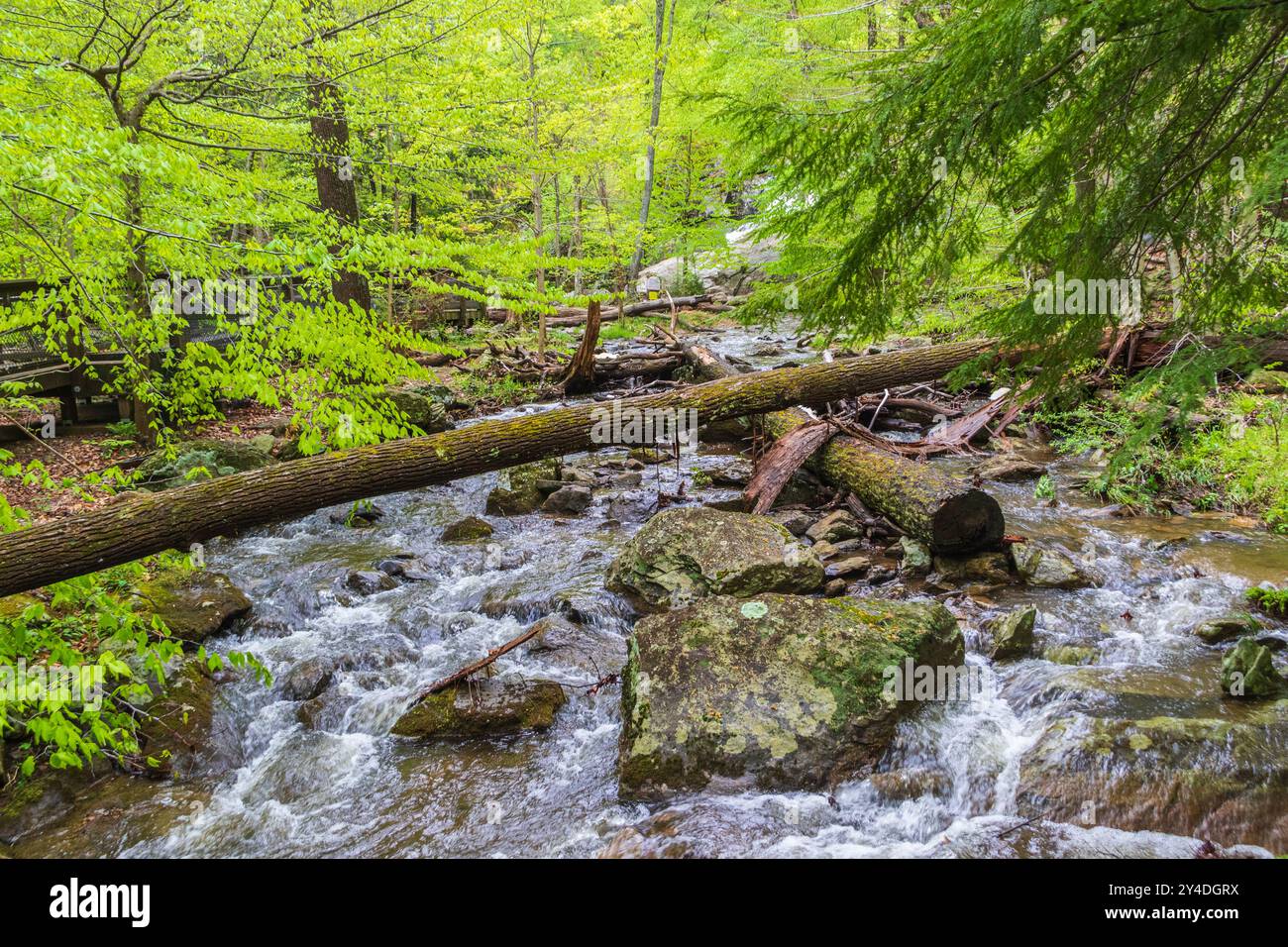 Cumberland Falls State Park in Catoctin Mountains in Maryland Stock ...