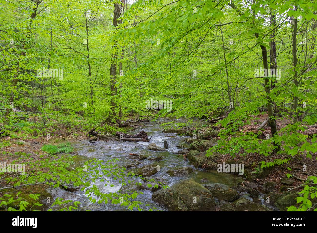 Cumberland Falls State Park in Catoctin Mountains in Maryland Stock ...
