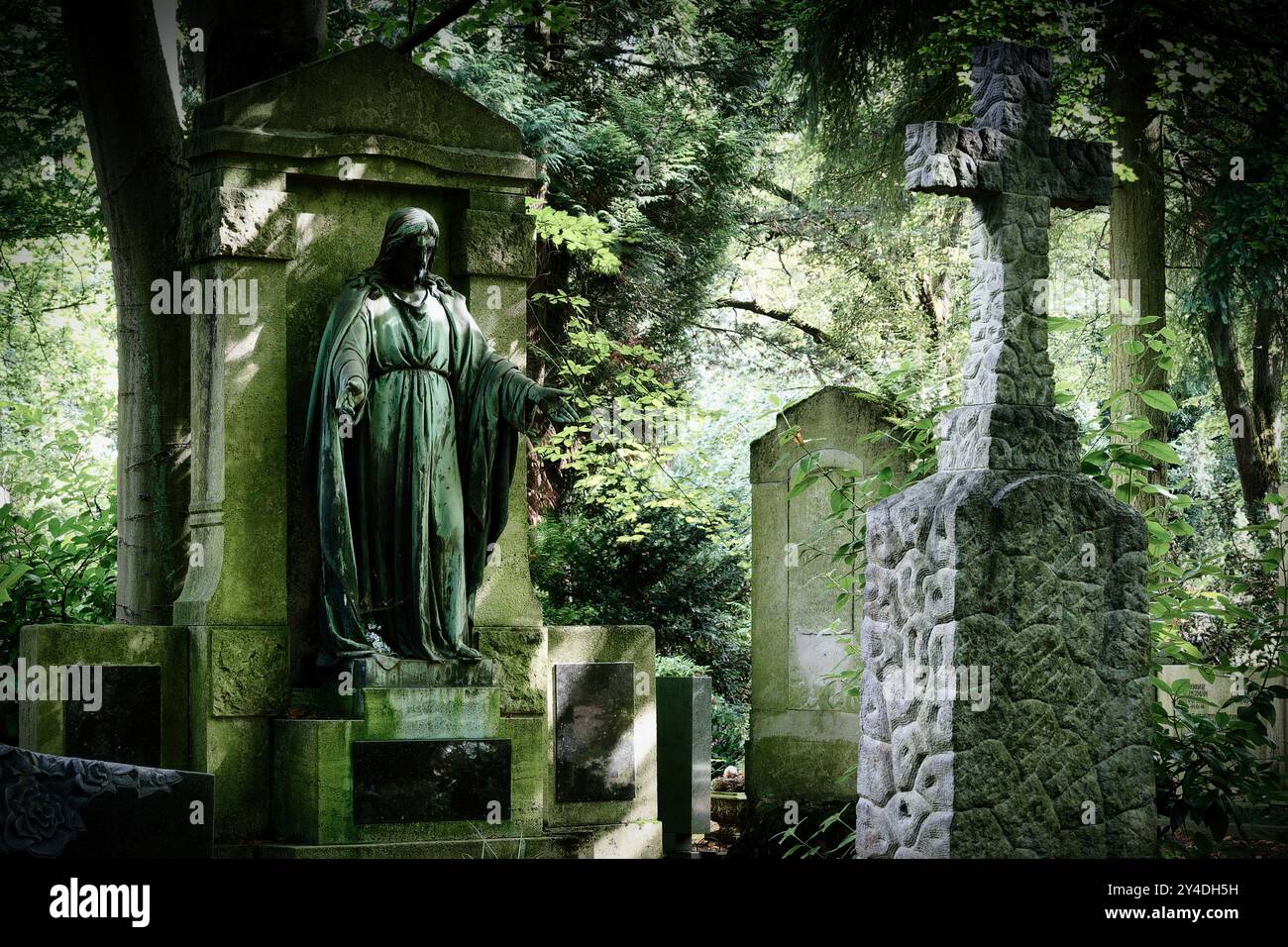 Ancient gravestones in the semi-darkness of the old trees of the famous ...