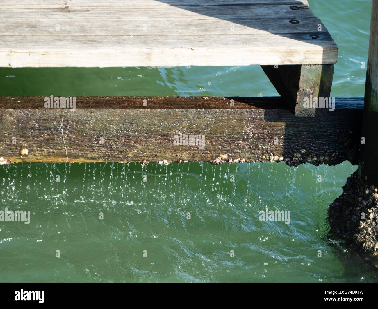 Water dripping off a wooden beam at the base of the harbour jetty Stock ...