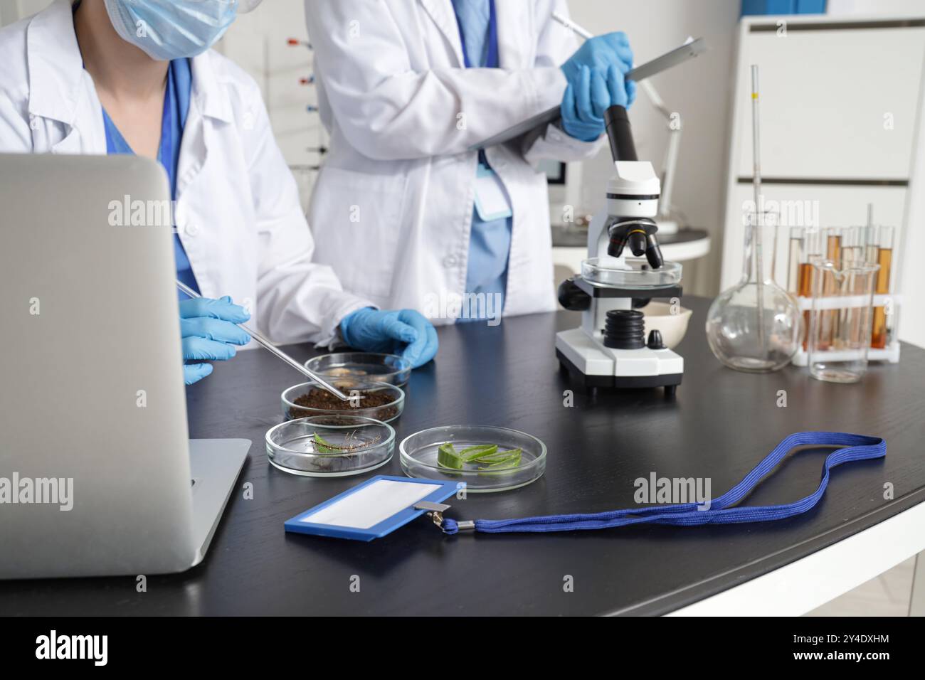 Female scientists working with Petri dishes at table in laboratory ...