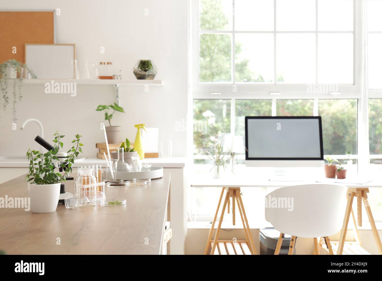 Interior of laboratory with workplace and plants Stock Photo - Alamy