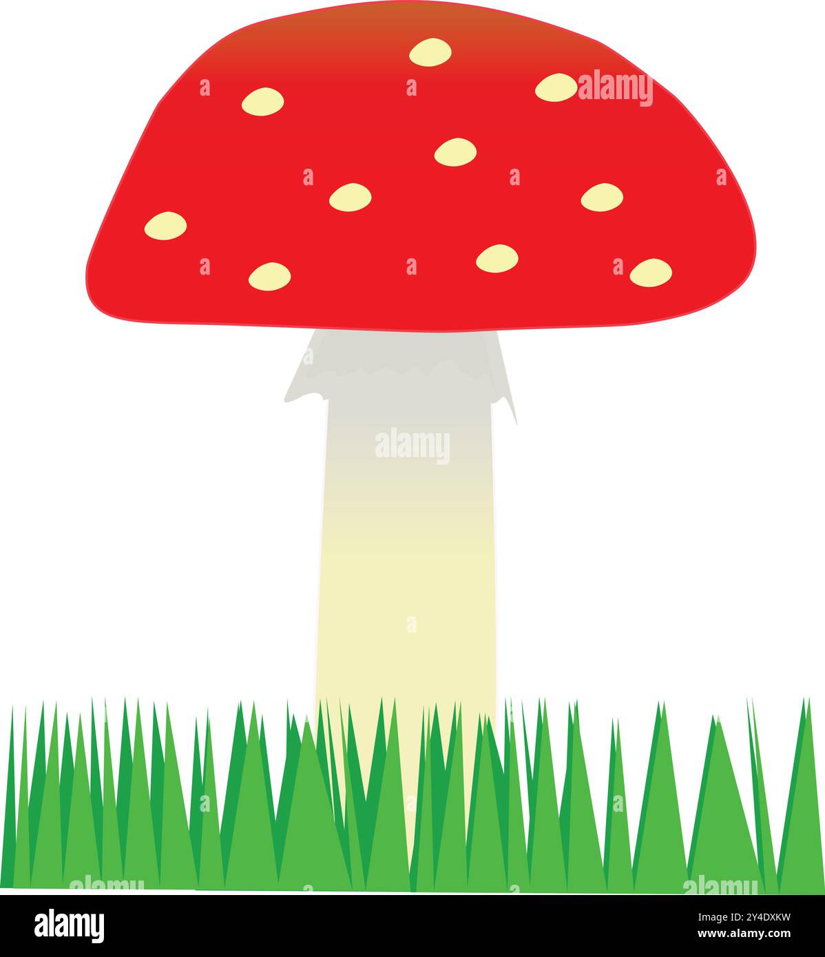Fly agaric fungi in Stock Vector Images - Alamy