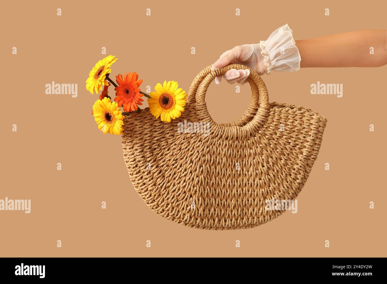 Female hand in laced glove holding straw bag with beautiful gerbera ...