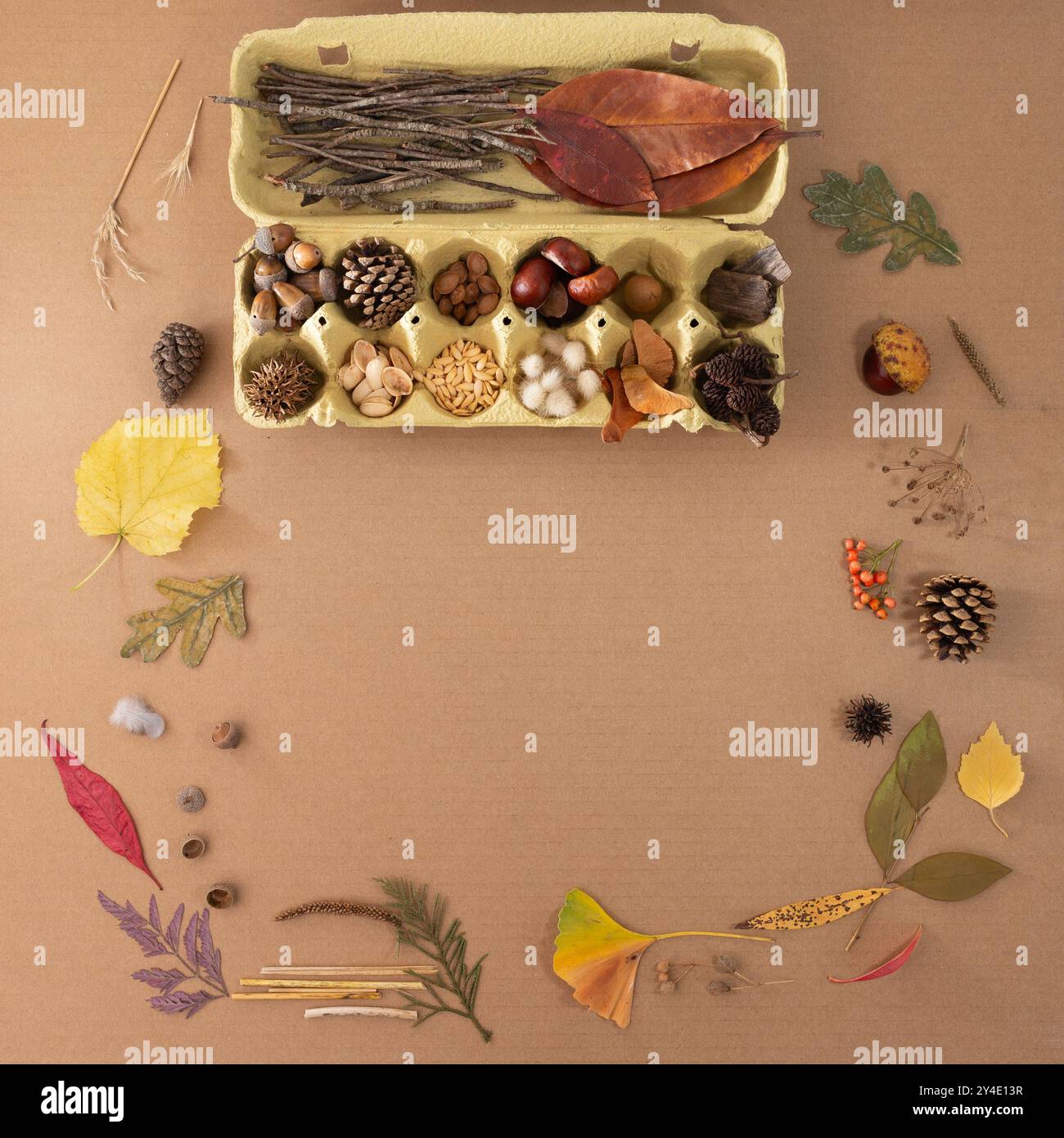Autumn flat lay featuring craft kit with natural materials like acorns ...