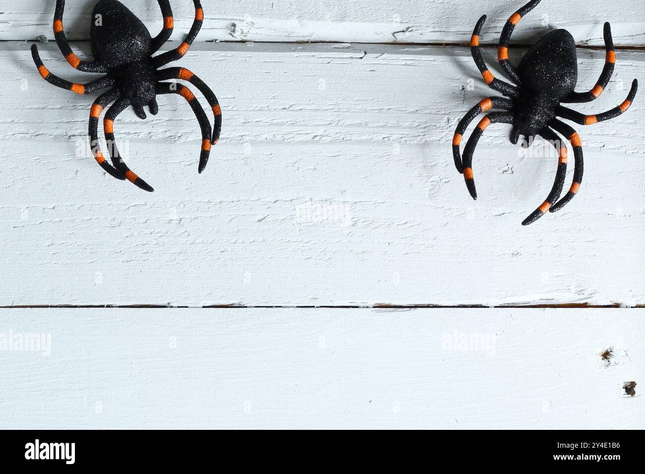Halloween spider decorations on white wooden background Stock Photo - Alamy