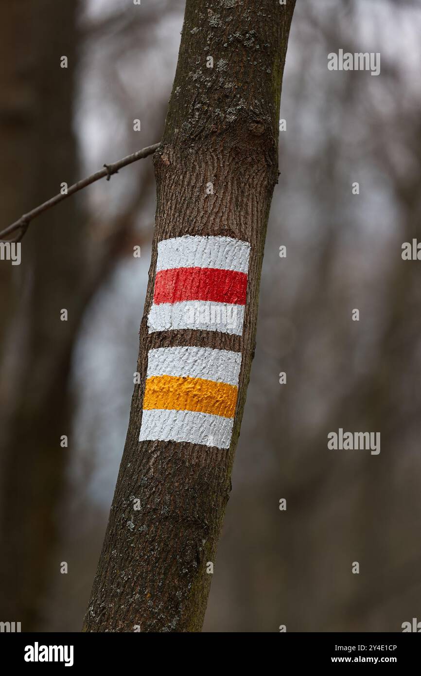 Hiking trail signs in a forest Stock Photo - Alamy