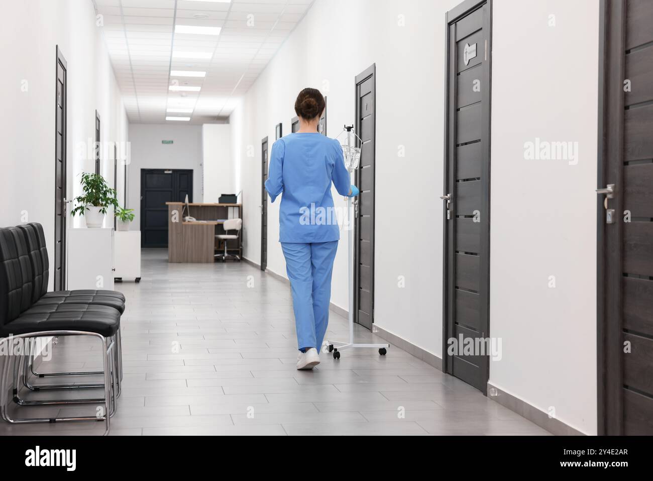 Nurse with IV drip in hospital hallway, back view Stock Photo - Alamy