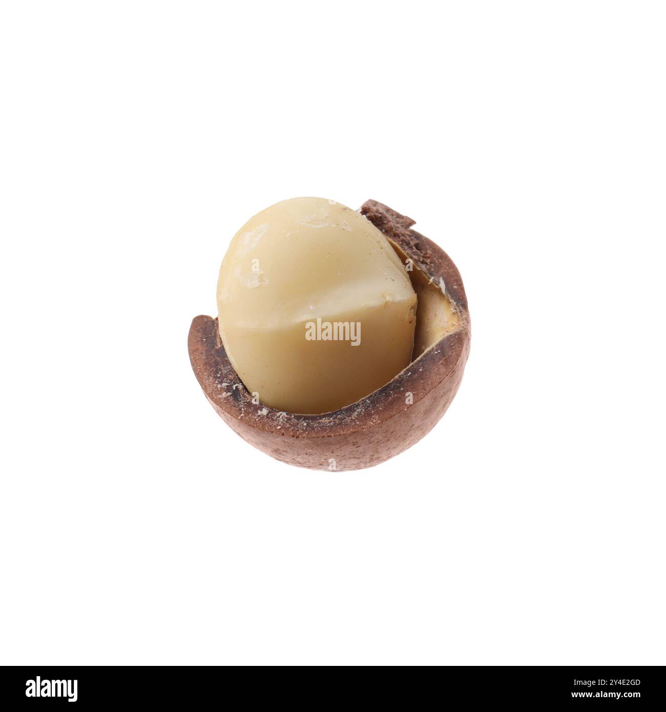 One macadamia nut with shell isolated on white Stock Photo - Alamy