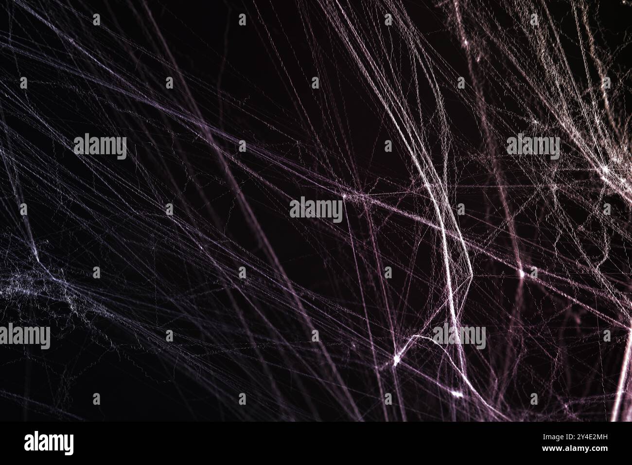 Cobweb against black background, toned in gradient red color Stock ...