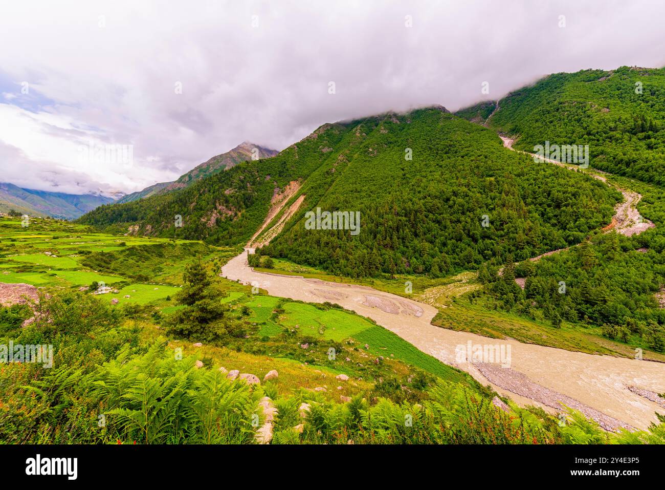 Baspa river flowing through Chitkul, Himachal Pradesh, India Stock ...