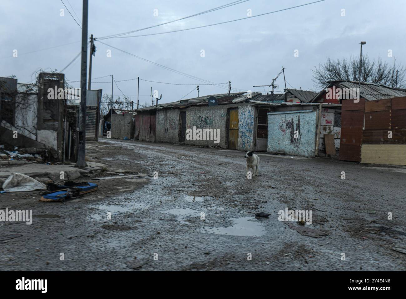Luka beograd hi-res stock photography and images - Alamy