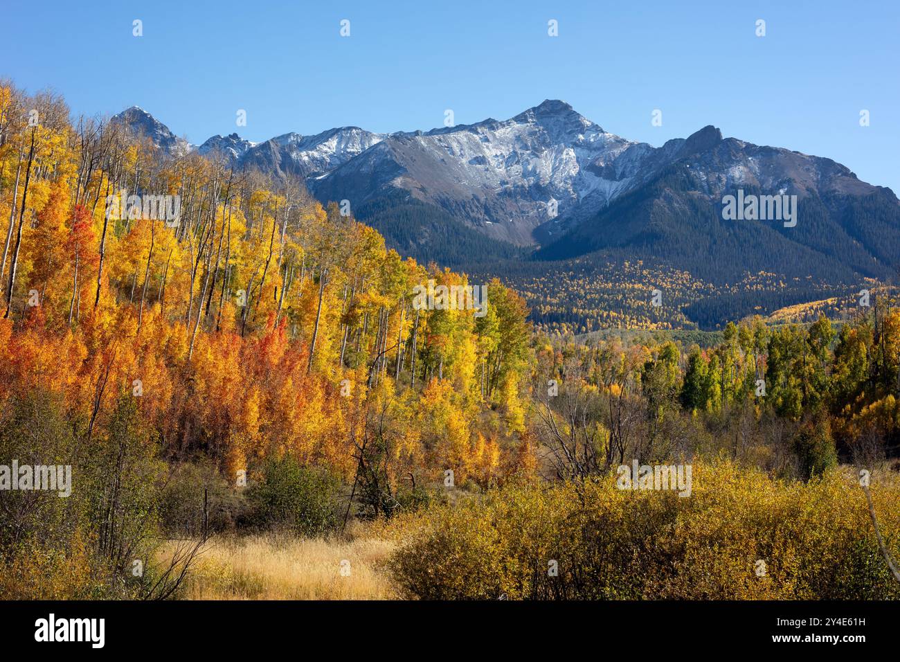 Autumn landscape with fall foliage and snow capped peaks in the San Juan Mountains Stock Photo ...