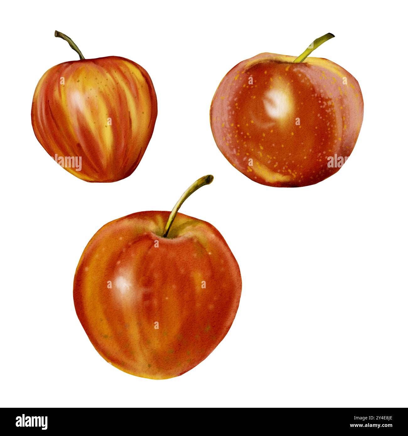 Set of red apples. Three apples. The fruit is red with yellow spots ...