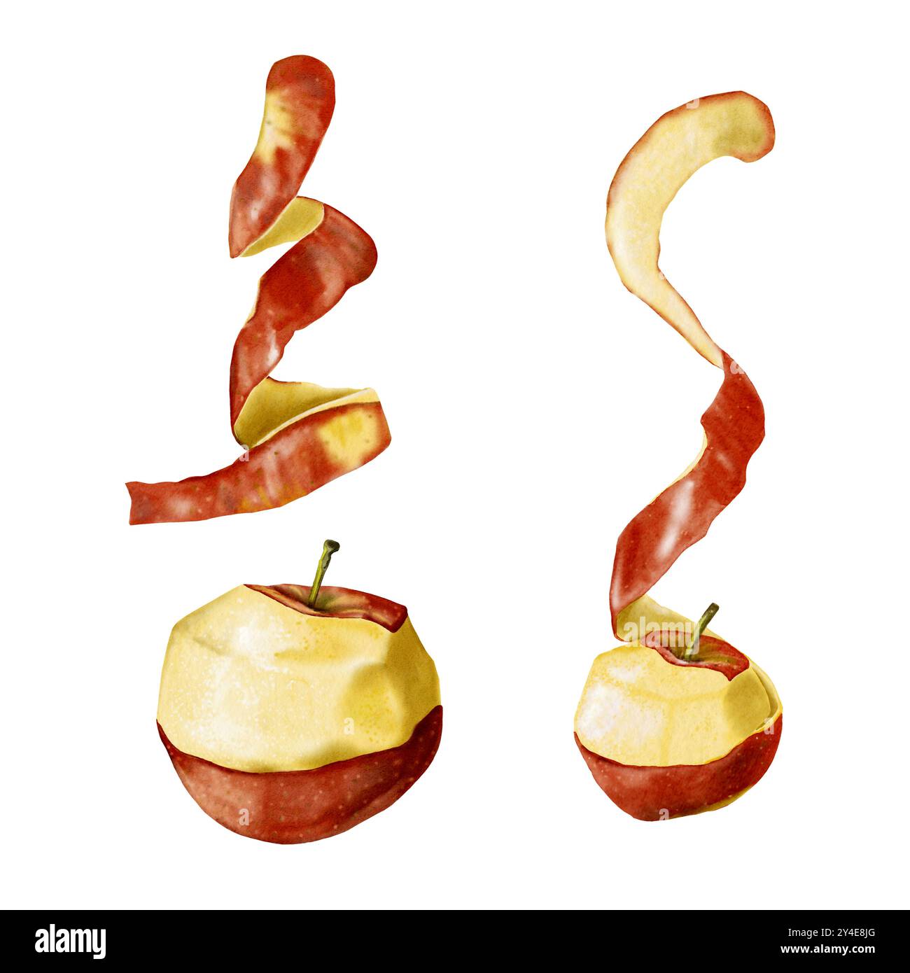 Peeled apple with long apple peel. The fruit is red and yellow. Side ...