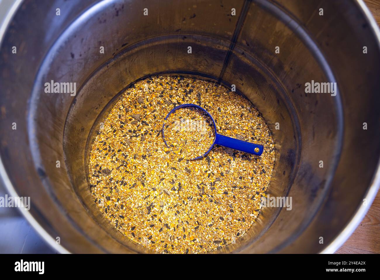 An almost empty barrel of feed grain mixture for chickens Stock Photo ...