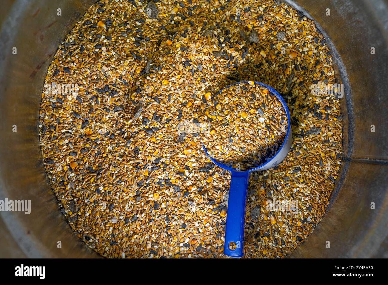 Fodder mixture of different types of grain for feeding birds on a home ...