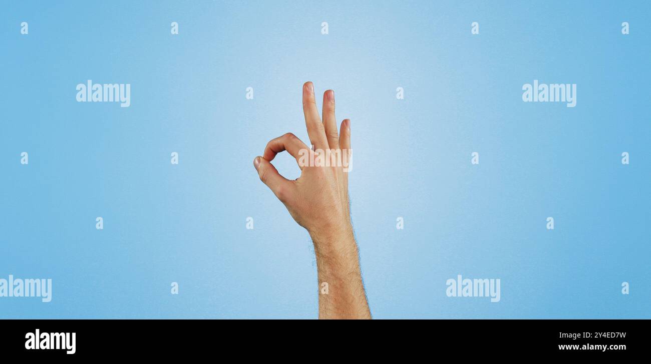 Perfect, sign and hand of person in studio for agreement, thank you or ...