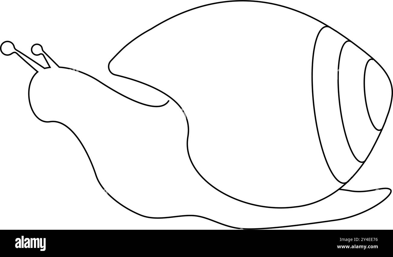 Mollusk illustration Stock Vector Images - Alamy