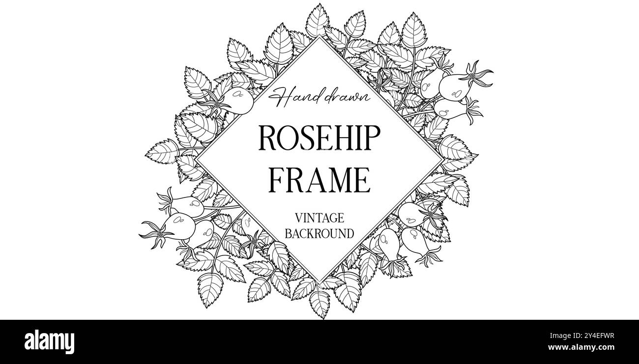 Hand drawn autumn botanical frame with rosehip leaves. Vector ...
