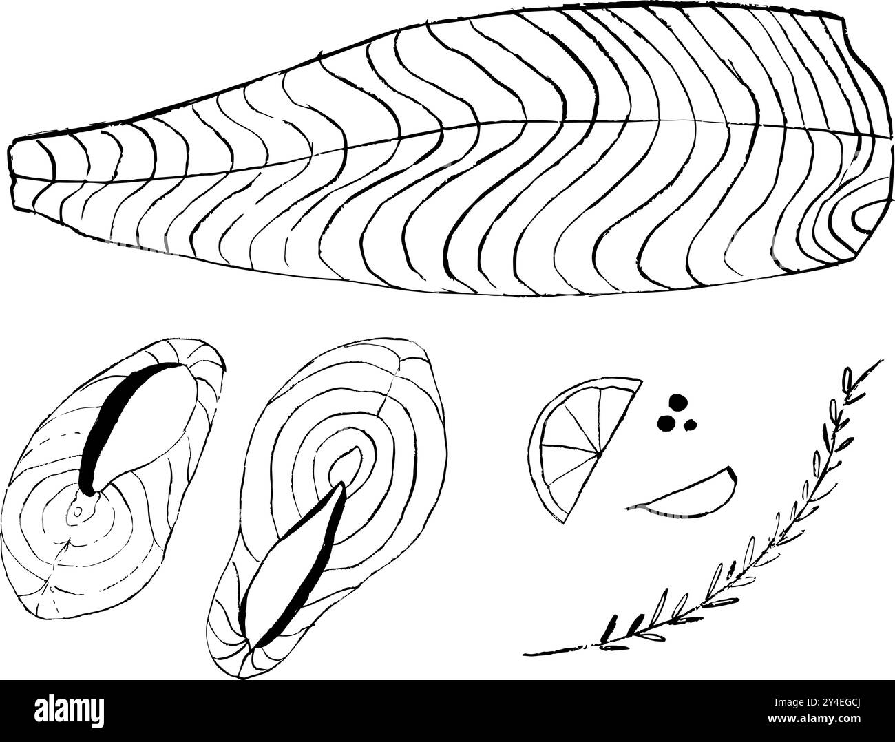 salmon fish and fillet illustration, doodles of salmon fish and spices ...