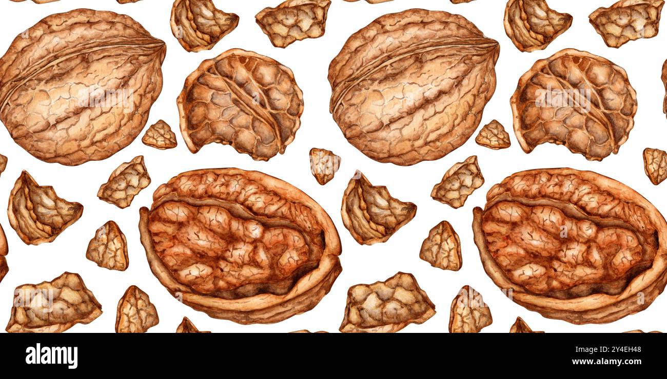 Walnut pattern watercolor illustration isolated from background ...
