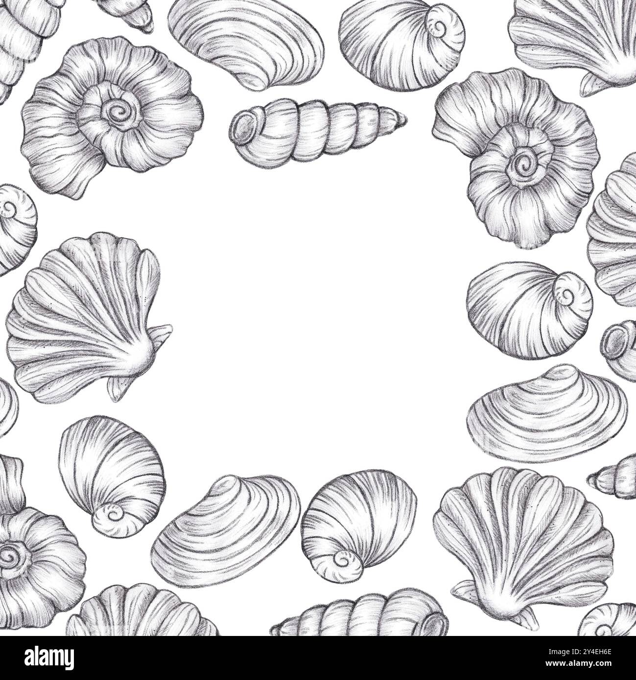 Hand drawn black coal pencil seashells frame border isolated on white ...