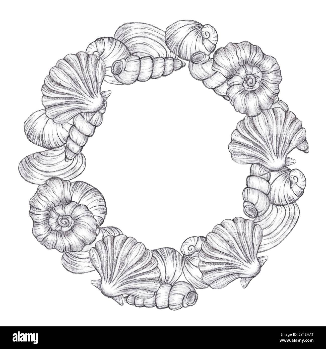 Hand drawn black coal pencil seashells wreath frame border isolated on ...