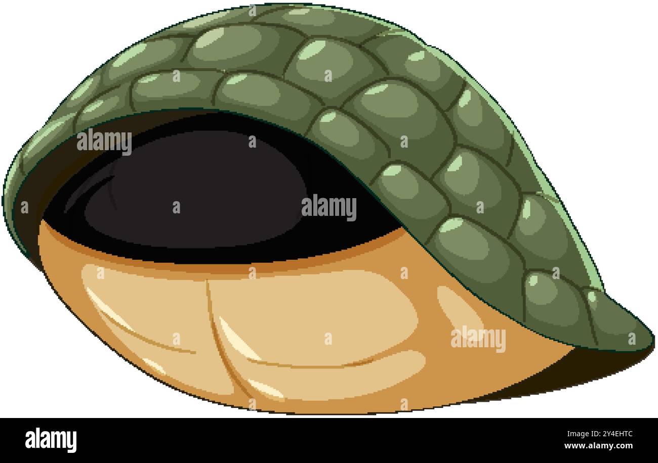 Adorable armadillo with green shell Stock Vector Image & Art - Alamy