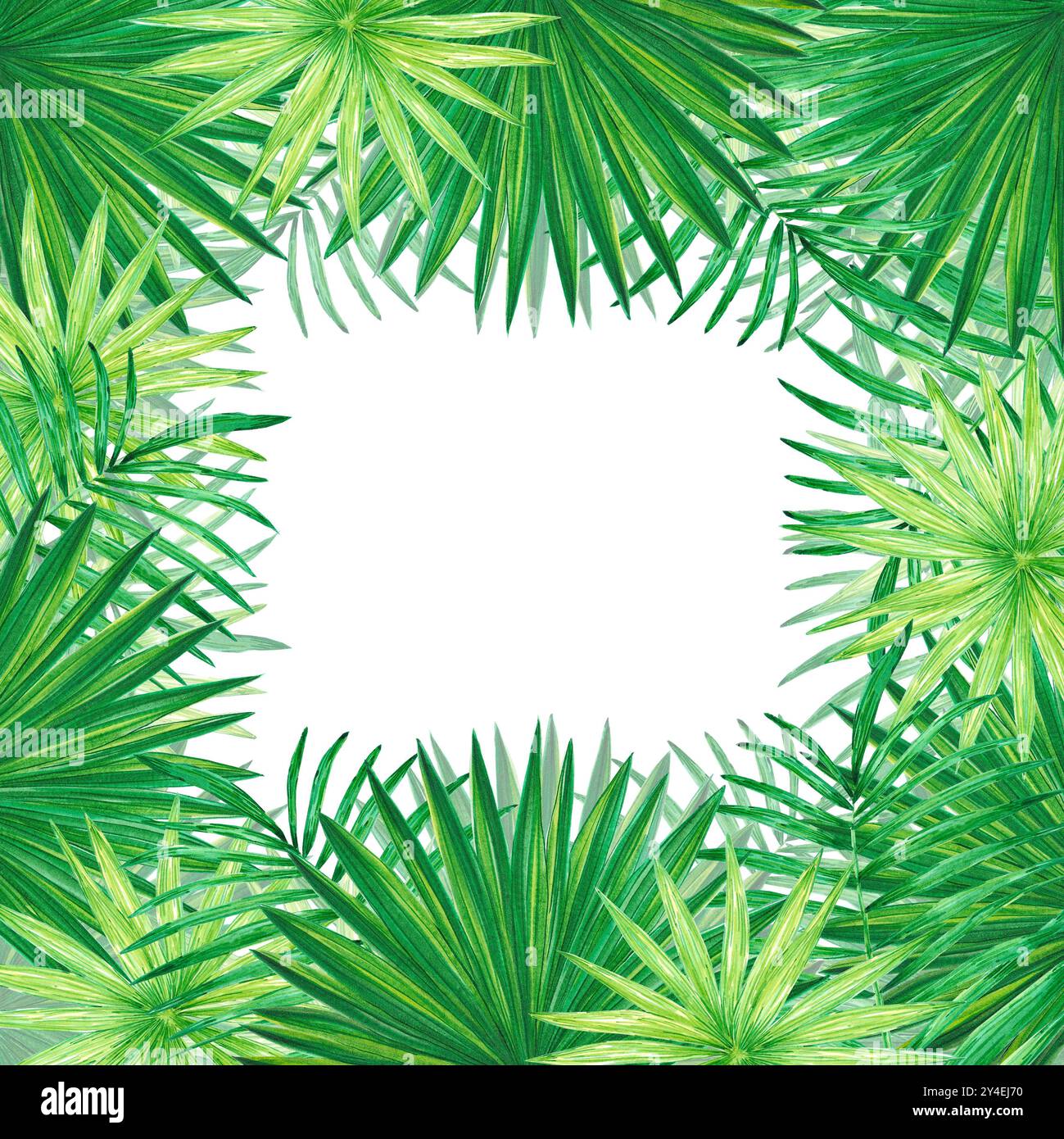 Hand drawn watercolor tropical leaves frame border isolated on white ...