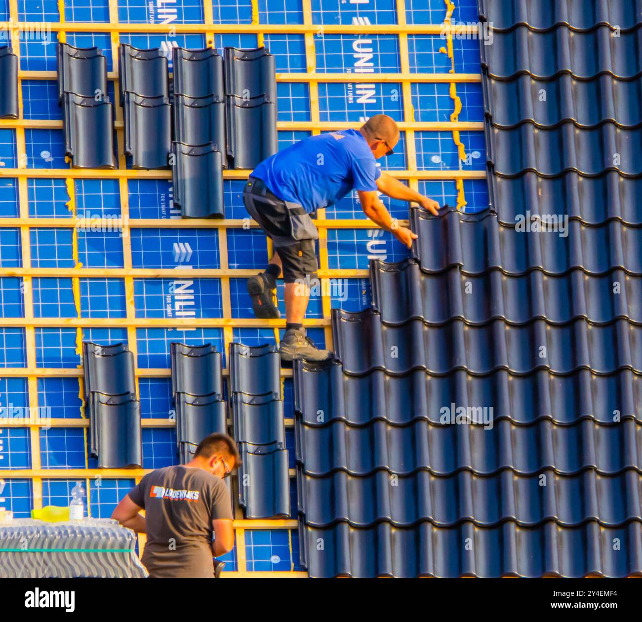 rooftop construction, roof tiling workers constructing a house, Rucphen ...