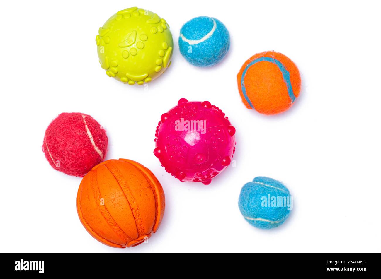 Pets dogs toys Cut Out Stock Images & Pictures - Alamy