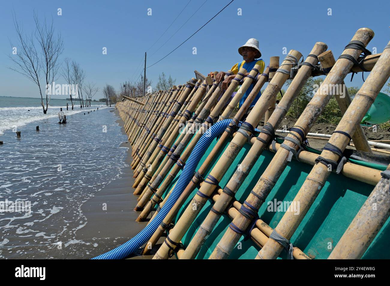 September 17, 2024: PEMALANG, CENTRAL JAVA, SEPTEMBER-17: To fight abrasion, villagers built a ...