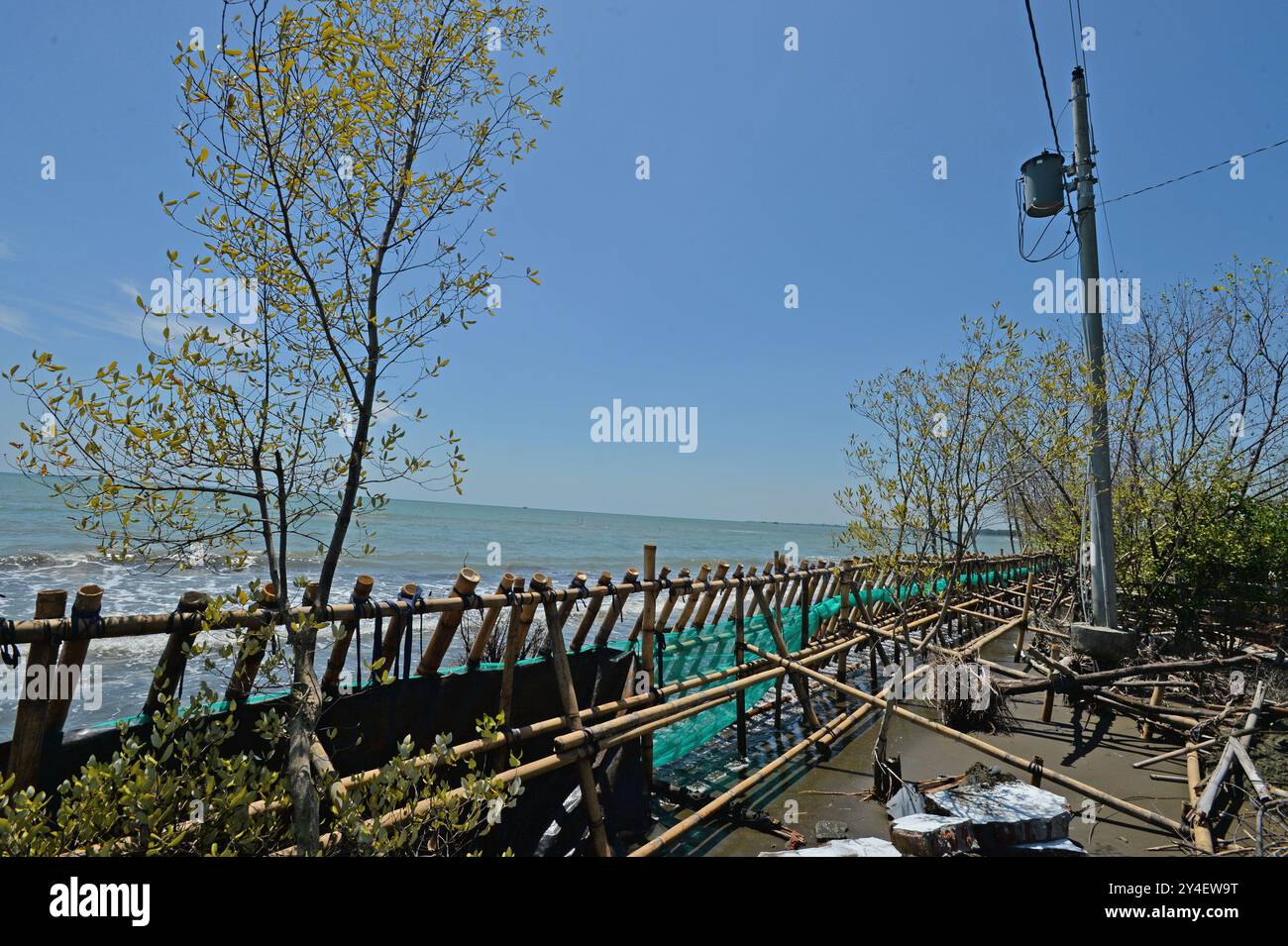 Pemalang, Central Java, Indonesia. 17th Sep, 2024. To fight abrasion ...