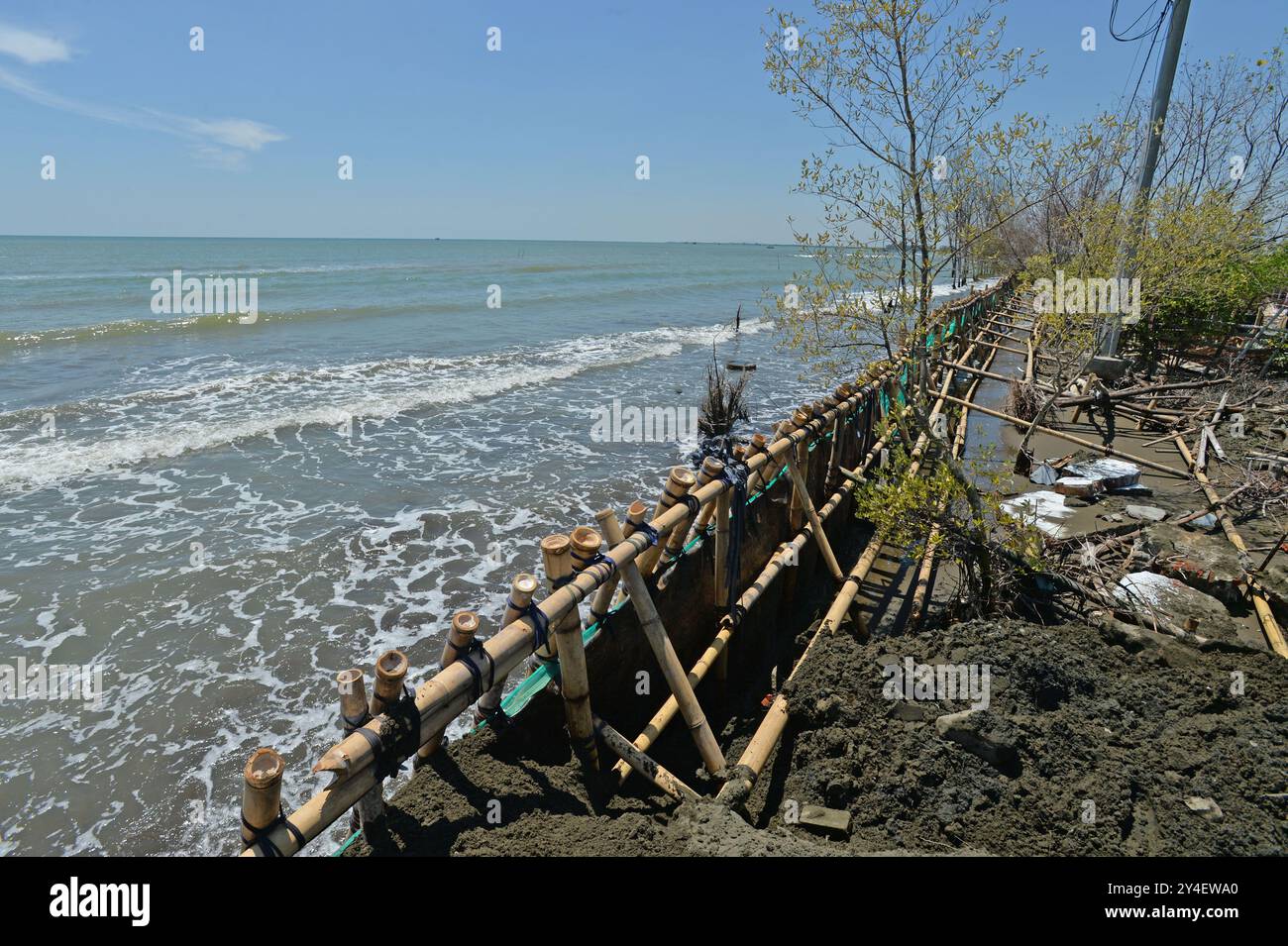 Pemalang, Central Java, Indonesia. 17th Sep, 2024. To fight abrasion ...