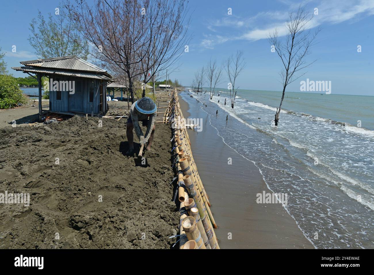 Pemalang, Central Java, Indonesia. 17th Sep, 2024. To fight abrasion ...