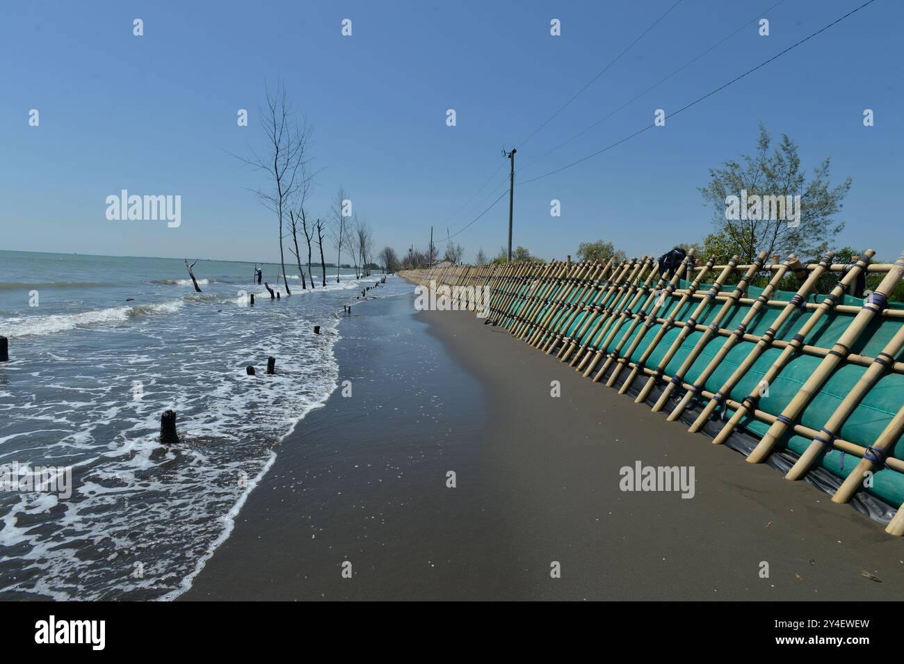 September 17, 2024: PEMALANG, CENTRAL JAVA, SEPTEMBER-17: To fight ...