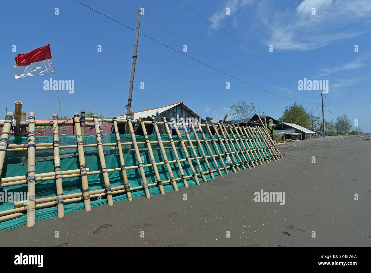 Pemalang, Central Java, Indonesia. 17th Sep, 2024. To fight abrasion ...