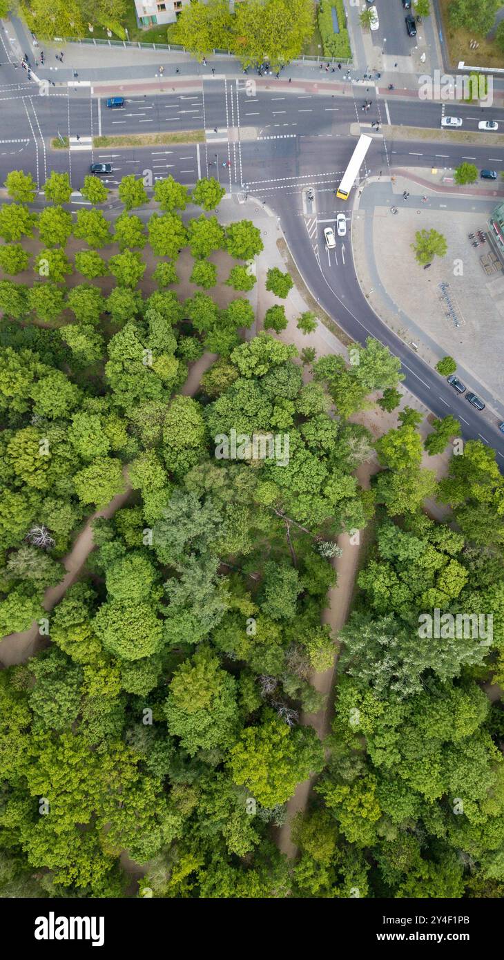 Aerial view of trees in Berlin, Germany Stock Photo - Alamy