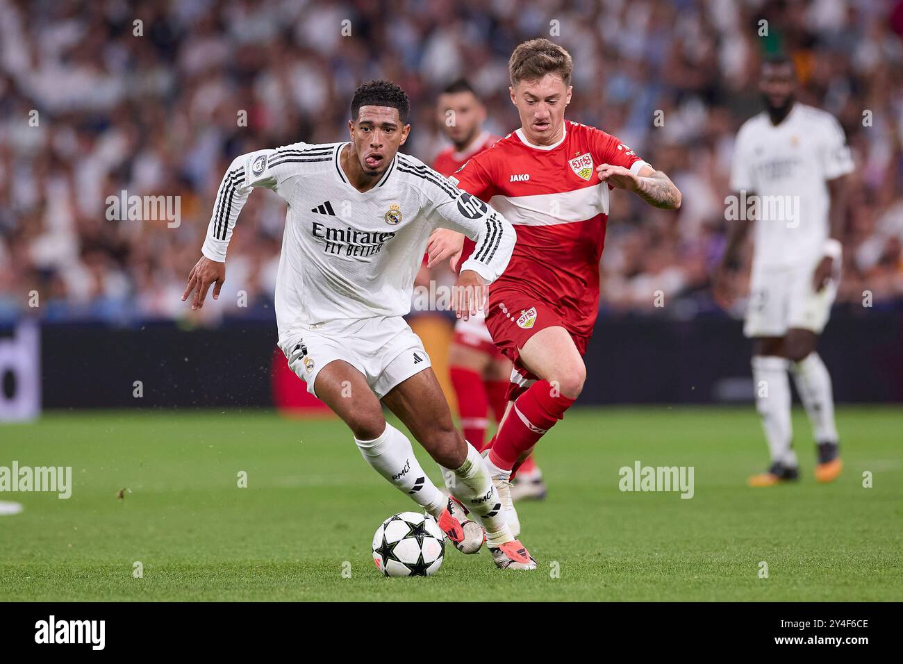 Angelo stiller 2024 hi-res stock photography and images - Alamy