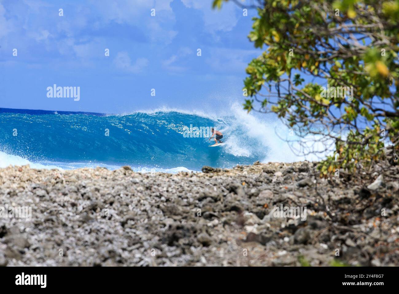French Polynesia, Tuamotu archipelago, Tikehau: surfer viewed from the ...