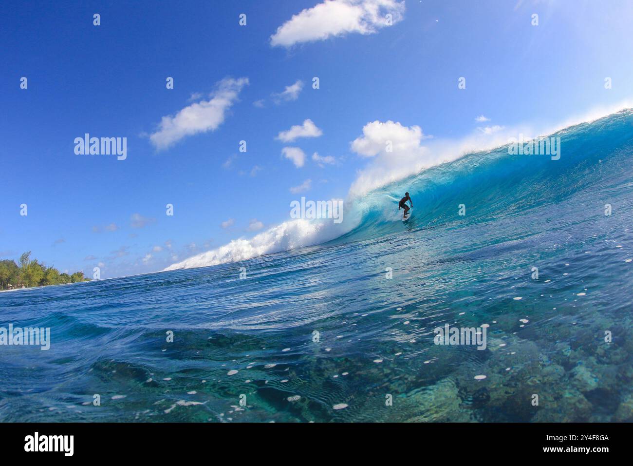 French Polynesia, Tuamotu archipelago, atoll of Faaite: surfer surfing ...