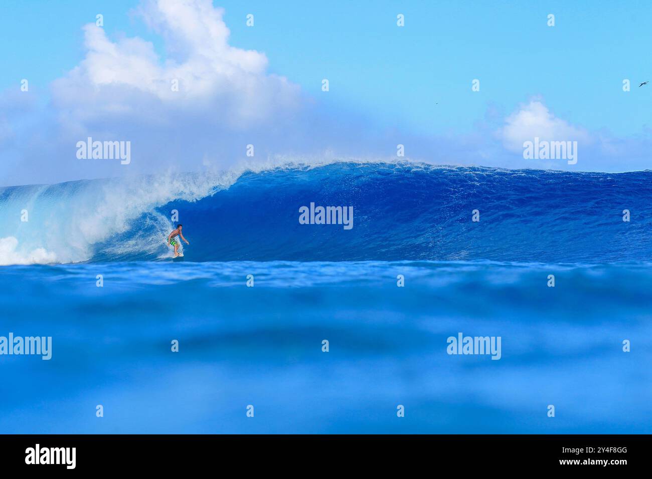 French Polynesia, Tuamotu archipelago, atoll of Faaite: surfer surfing ...