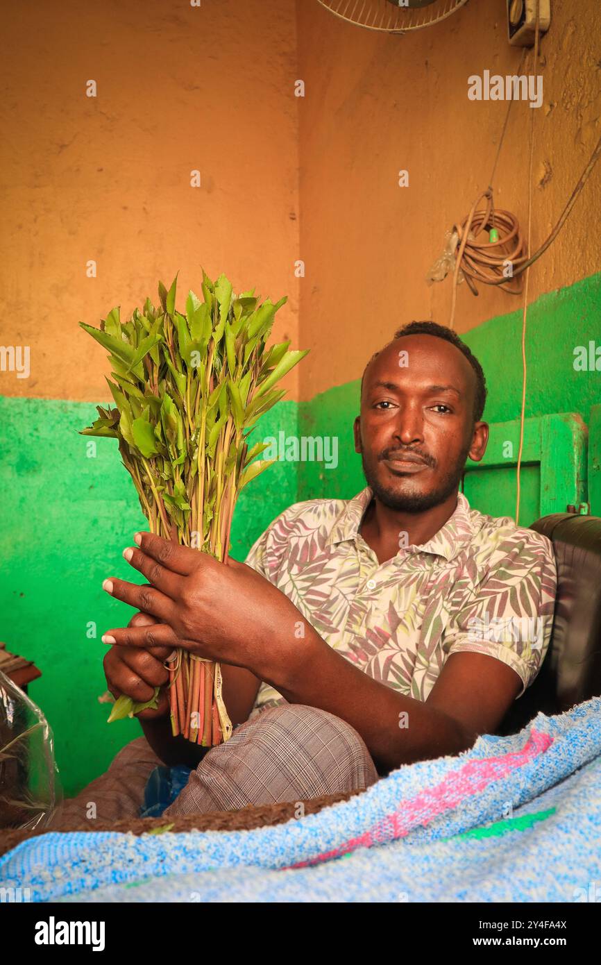 Djibouti: a veiled woman selling khat, hidden behind two bunches of ...